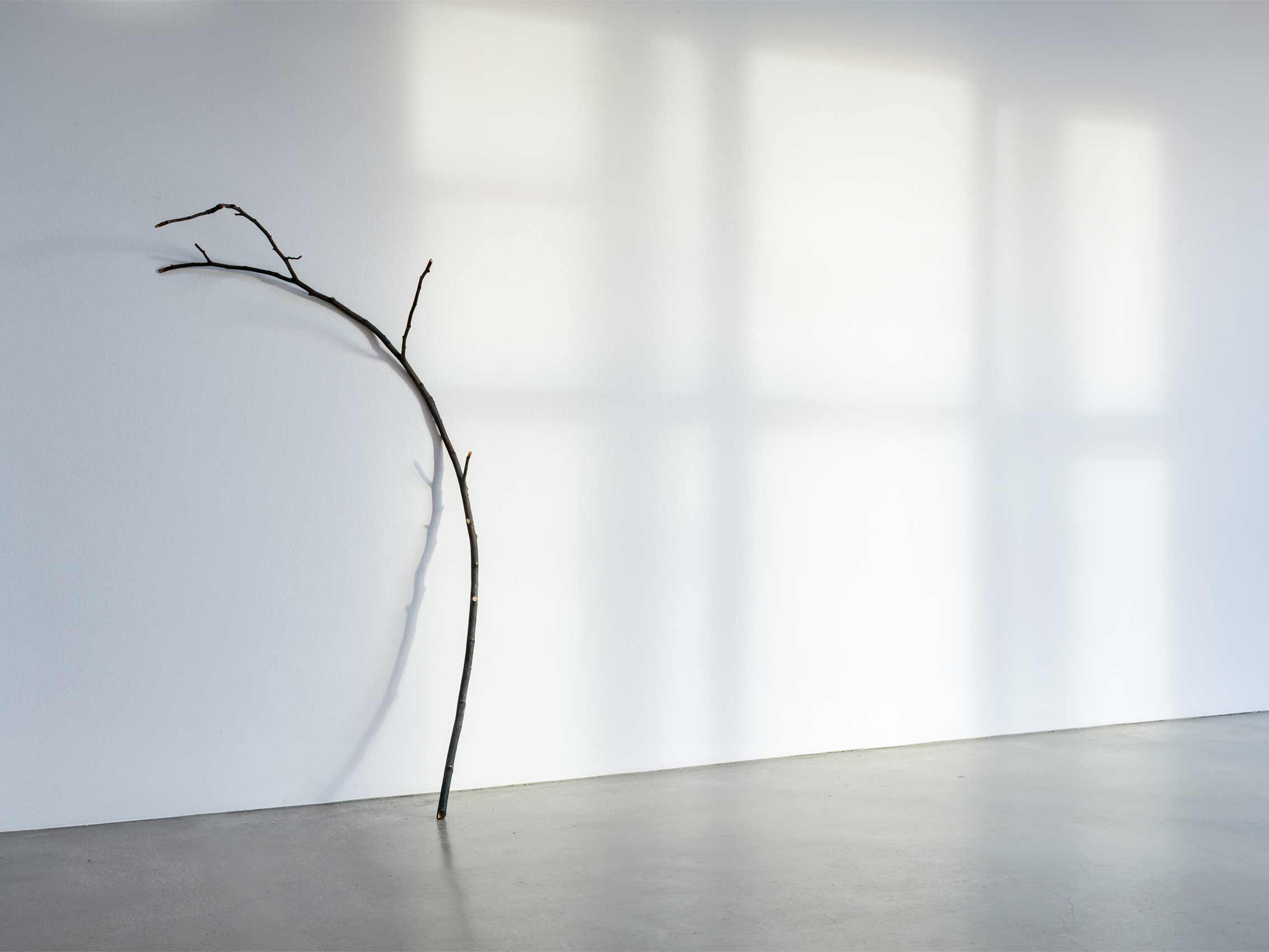 Art Documentation Art Reproduction Photographer based in Düsseldorf